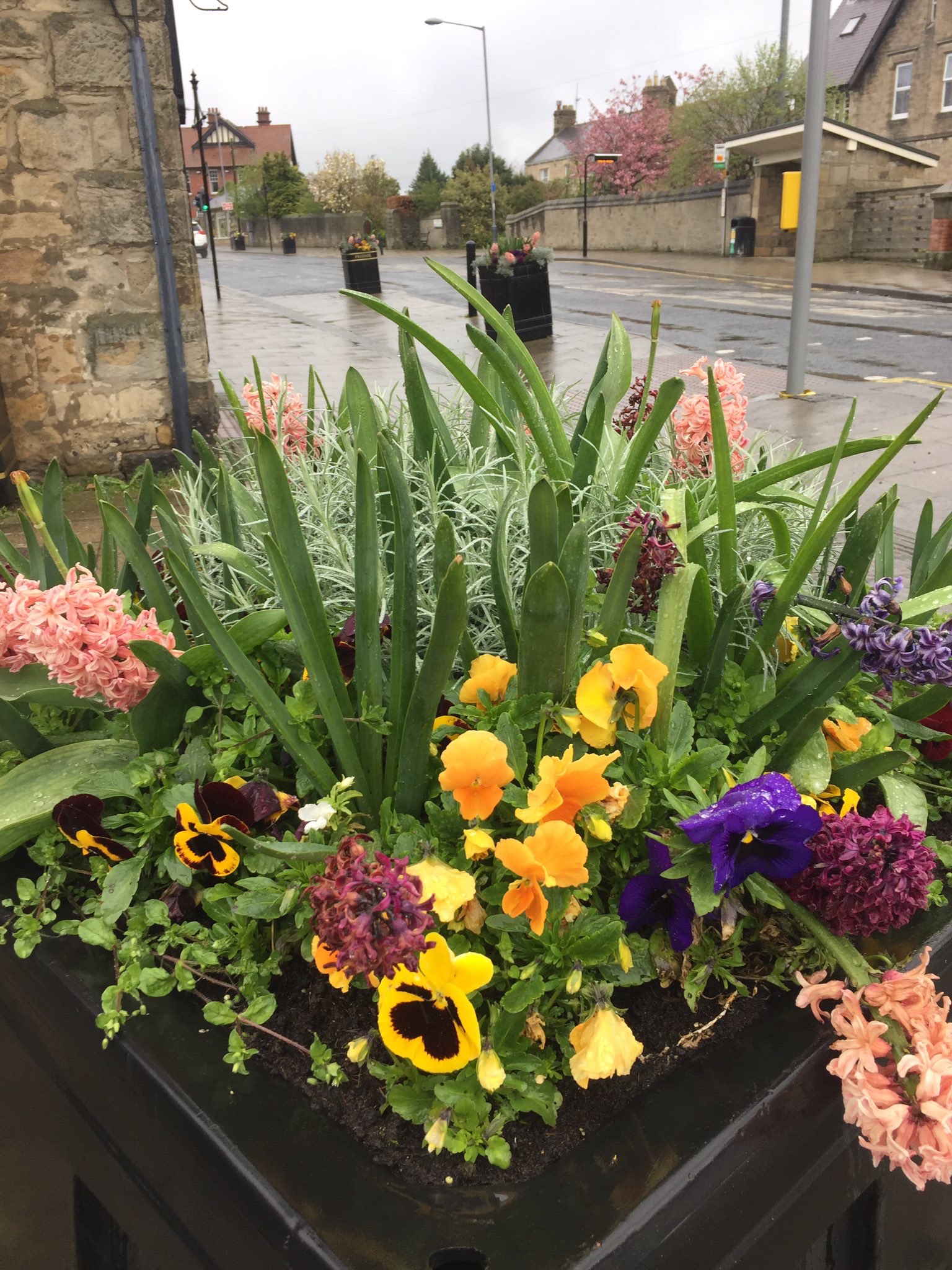 Tourism – Prudhoe Matters